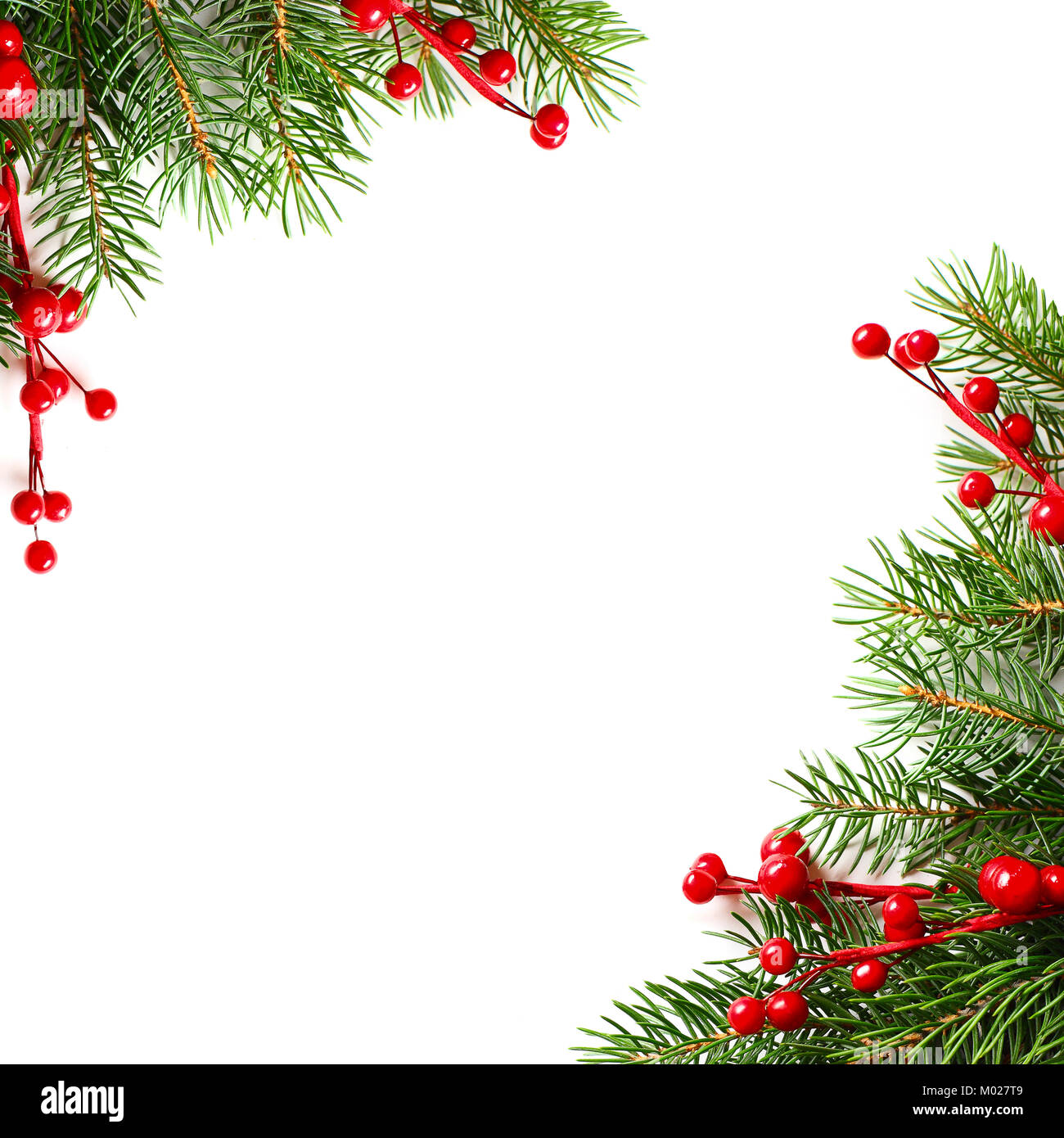 Christmas Background with Red Holly Berries and Xmas Tree Twig Stock ...