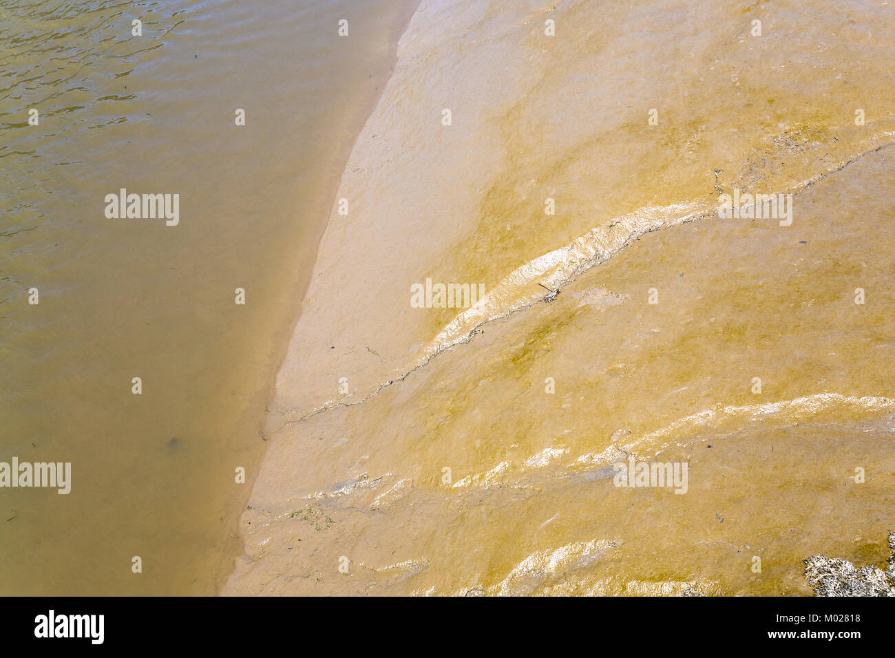 Surface slime hi-res stock photography and images - Alamy