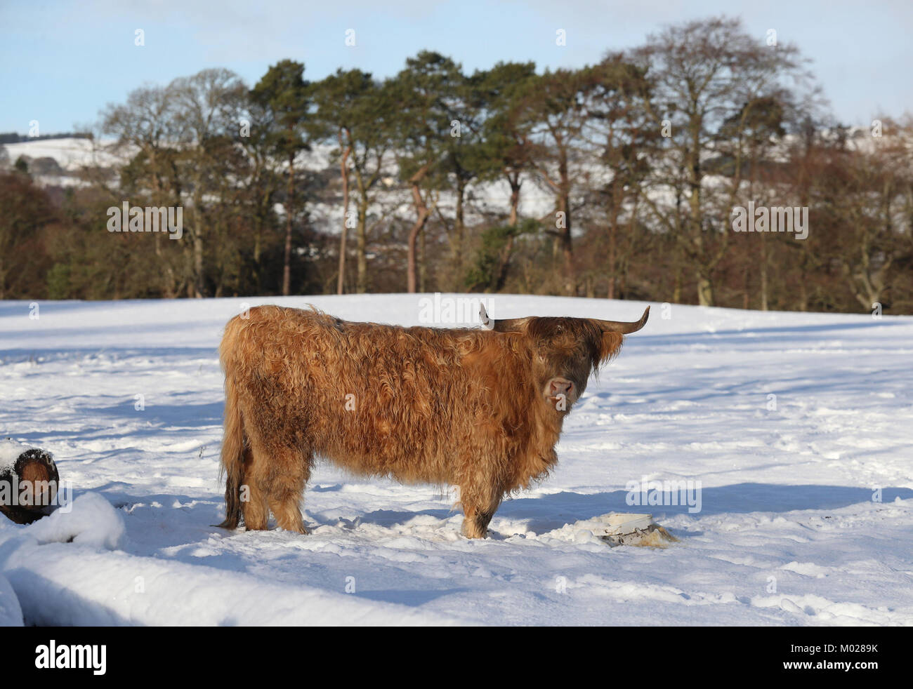 Highland police hi-res stock photography and images - Alamy