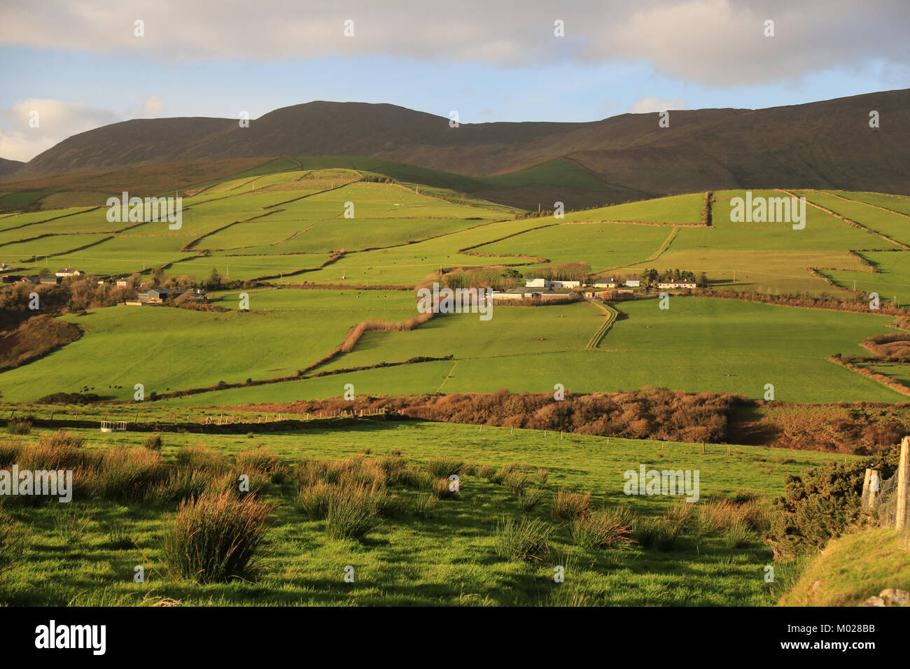 Earth soil ireland hi-res stock photography and images - Alamy