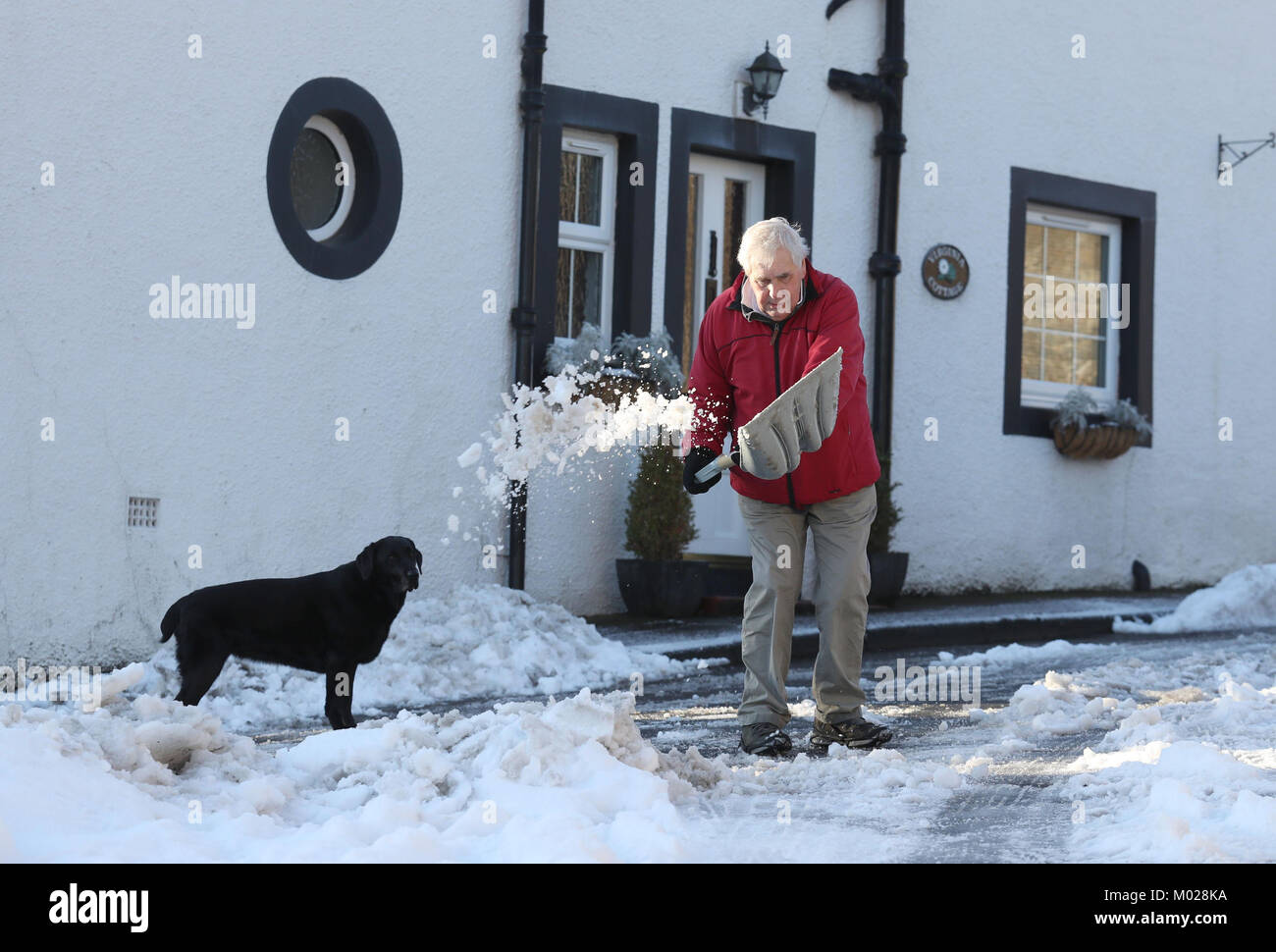 John Hutcheson with dog Heidi clears snow in Tower Road, Darnick near ...