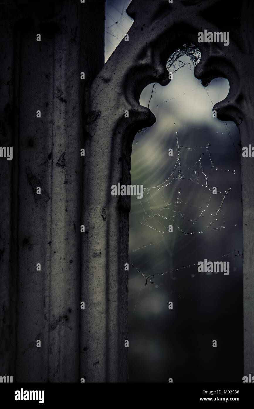 Spiderweb covered in dew, gothic window Stock Photo - Alamy
