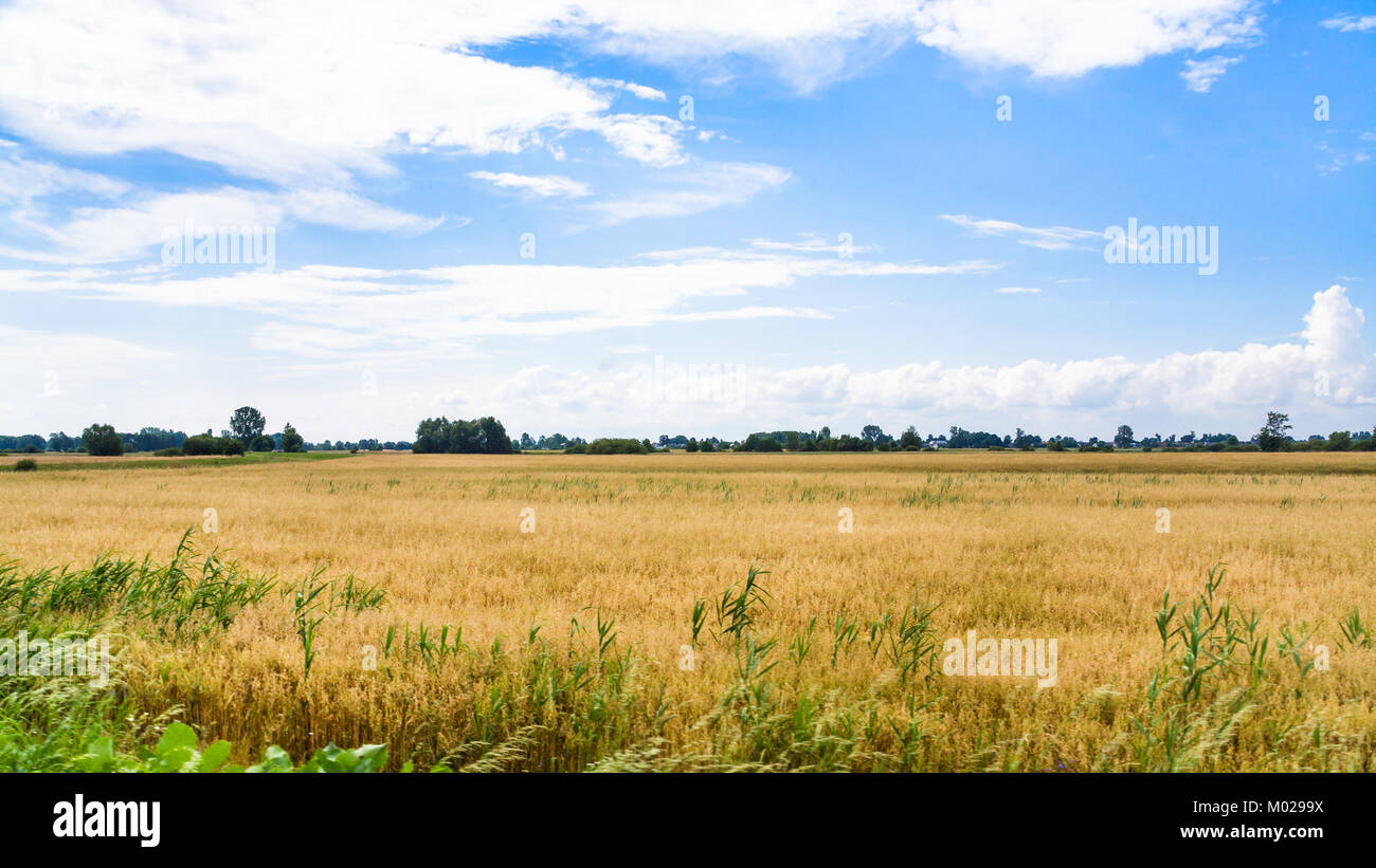 country landscape - rural landscape along route E30 in Central Poland ...