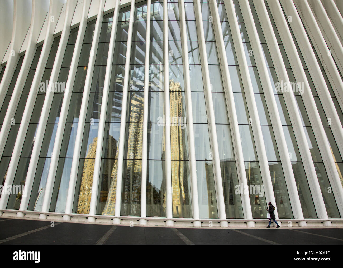 Person walks along the ribbed glass wall of the Oculus Mall at the ...