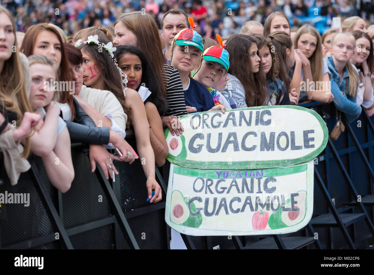 Ecstatic and enthusiastic teenage fans of the British-Irish boy and pop ...