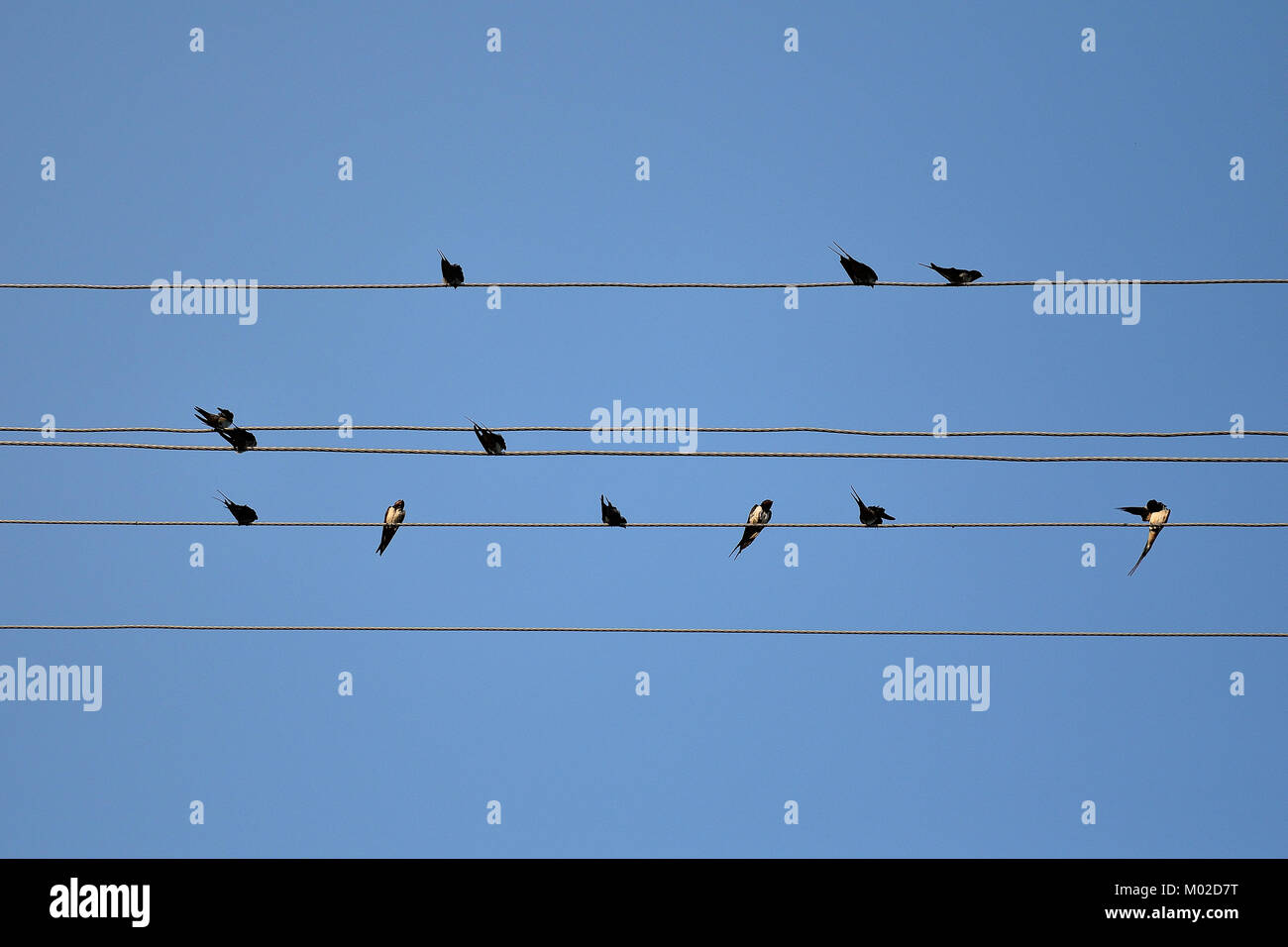 From underneath hi-res stock photography and images - Alamy