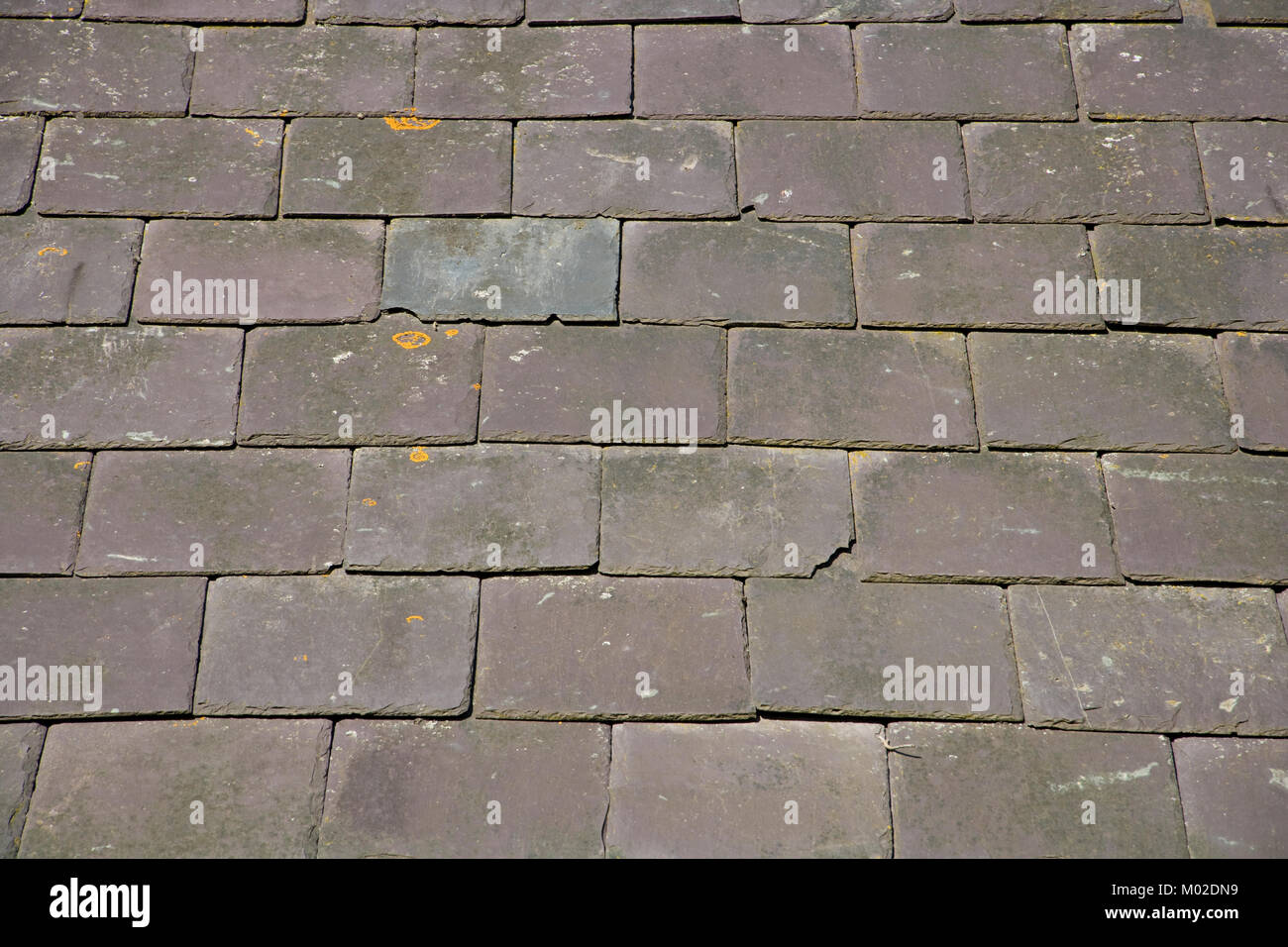 Roof slate pattern full frame background close up Stock Photo - Alamy