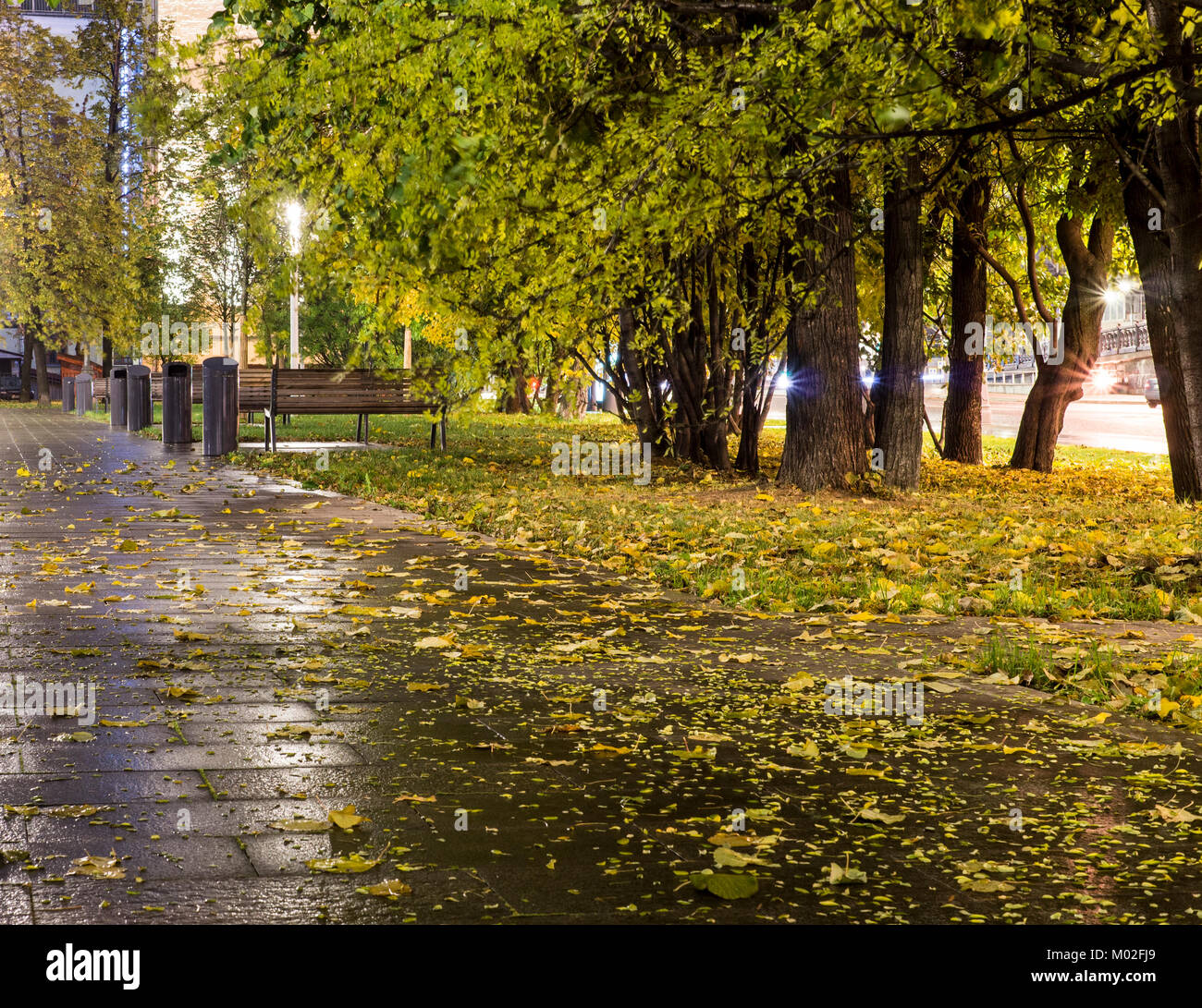 Park background hi-res stock photography and images - Alamy