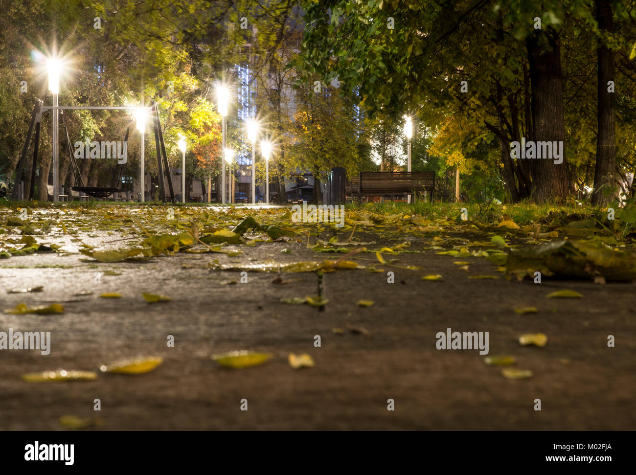park after rain at autumn night. background Stock Photo - Alamy