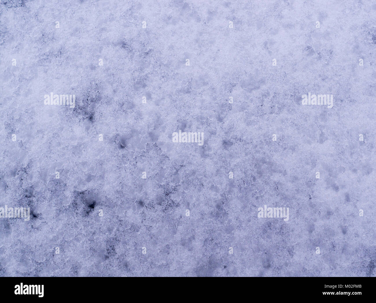 wet white snow texture, background Stock Photo - Alamy
