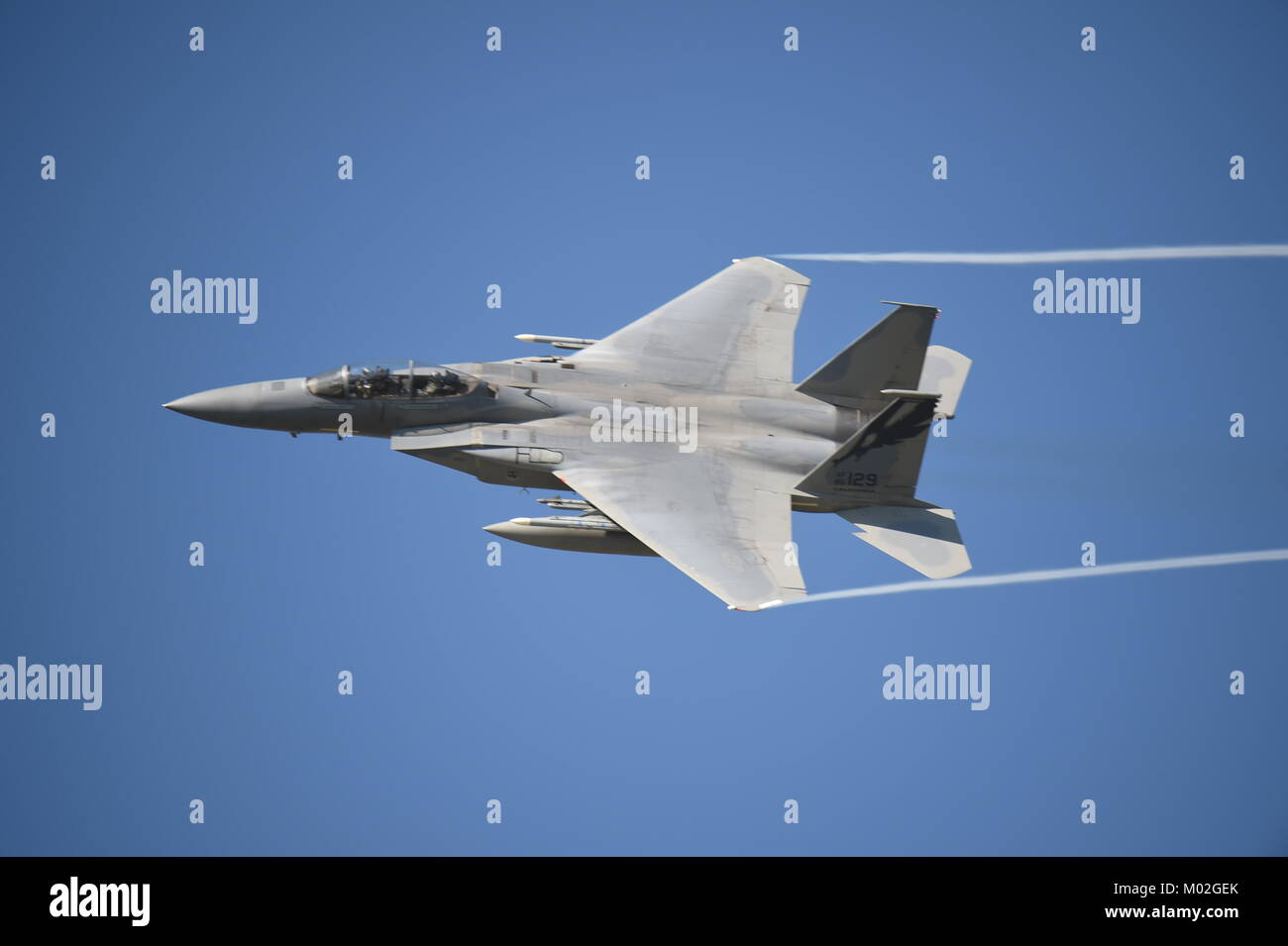 A U.S. Air Force F-15 Eagle fighter jet from California Air National ...
