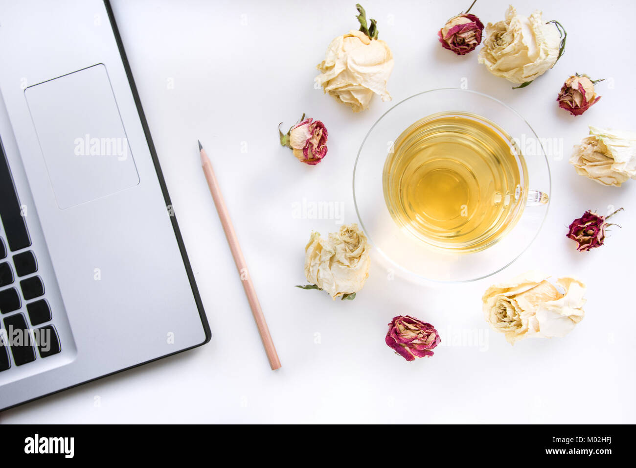 Workspace on table of pen, laptop and cup of green tea with dry roses ...