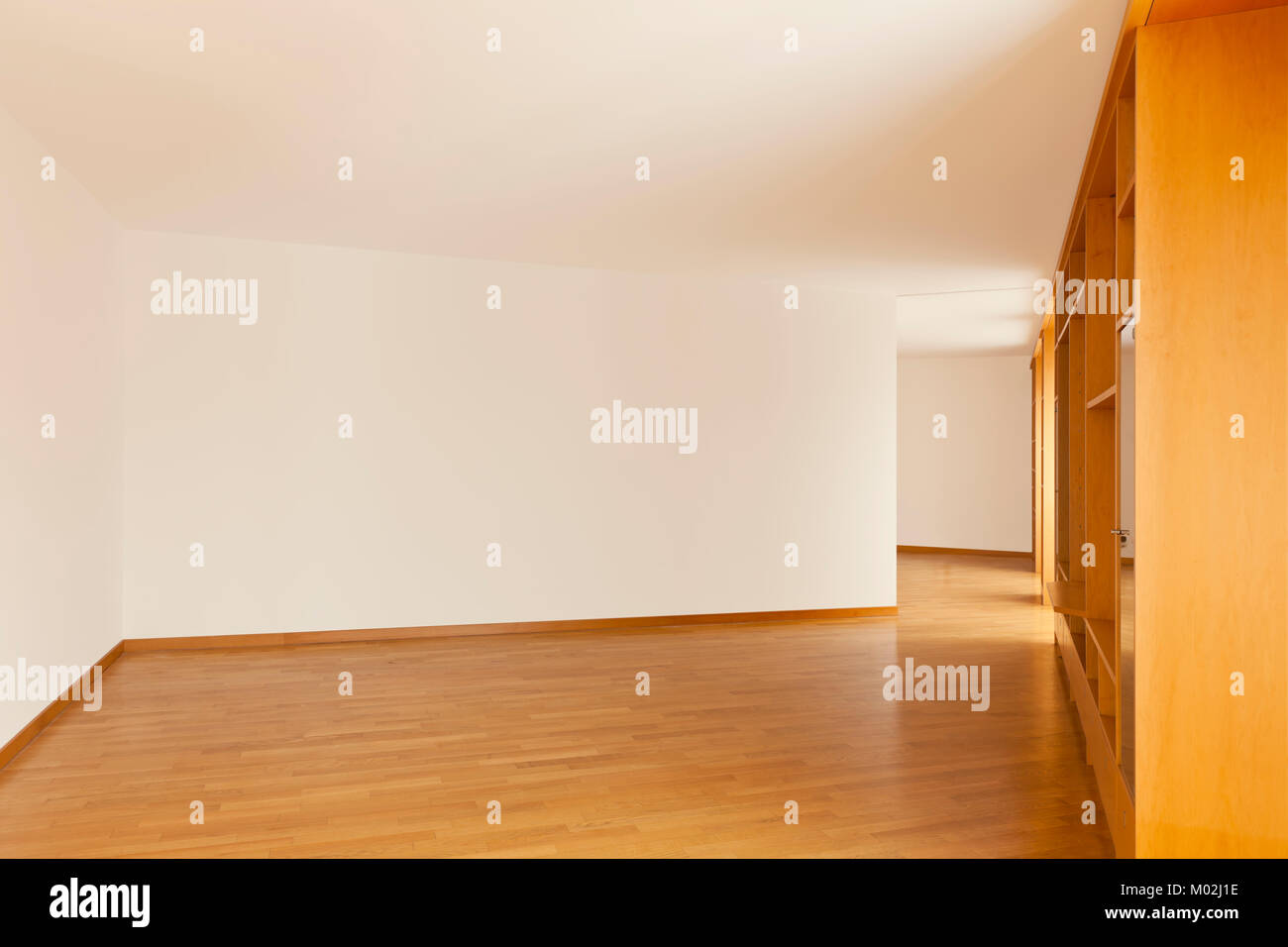 beautiful apartment, interior, wall cabinet in empty room Stock Photo ...