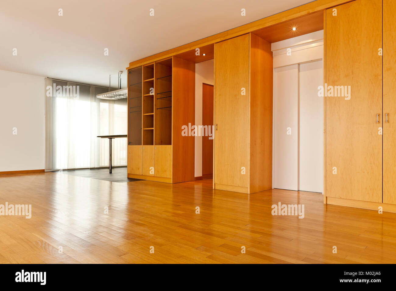 beautiful apartment, interior with hardwood floors, hall Stock Photo ...
