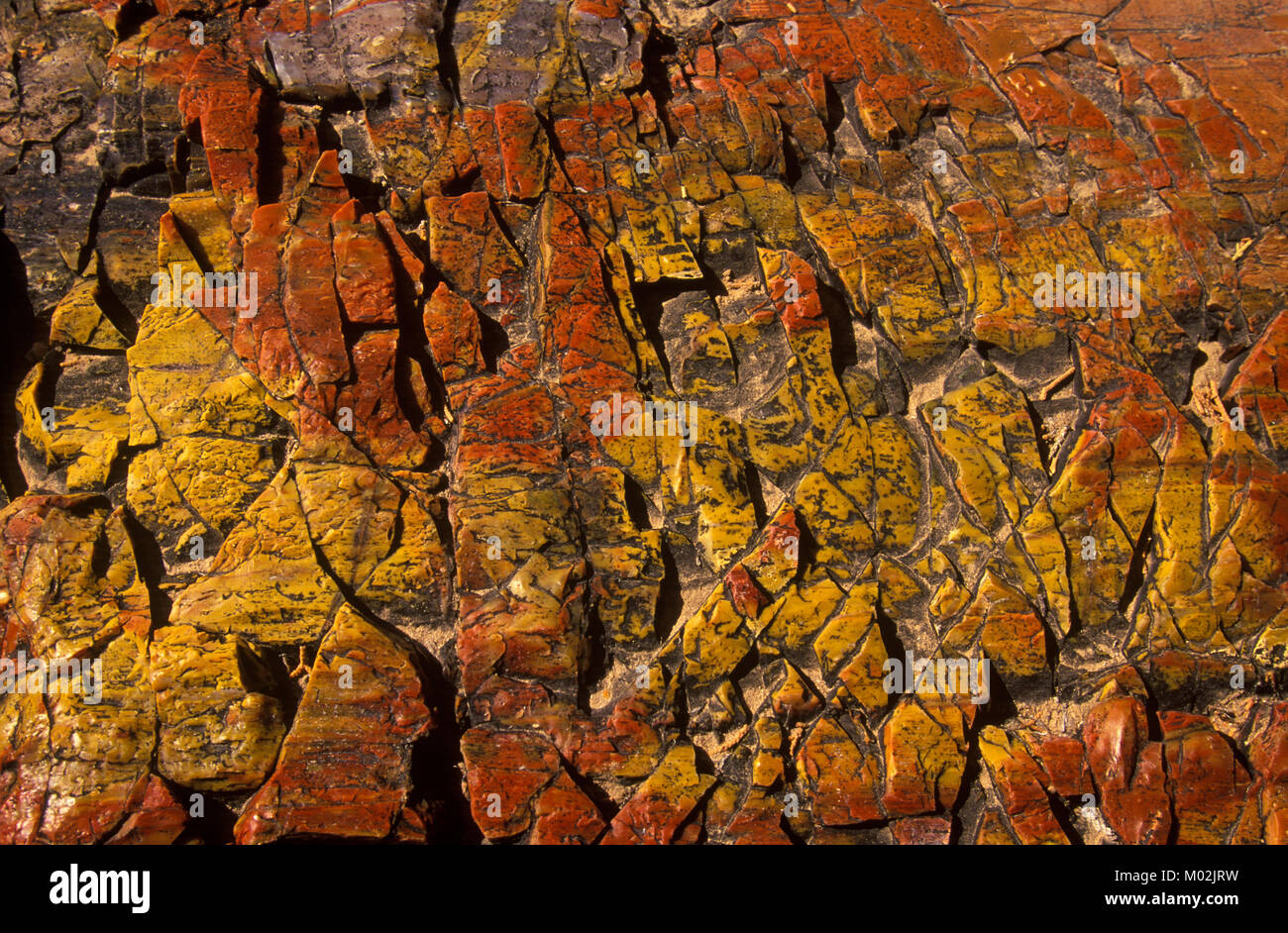 Colorado meseta hi-res stock photography and images - Alamy