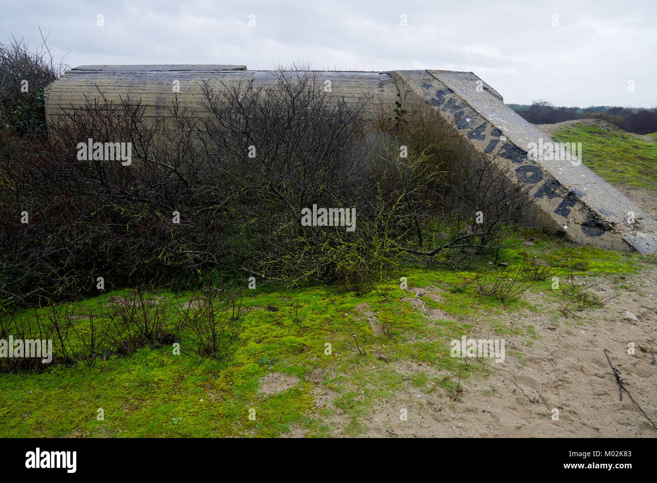 German blockhaus, Bay of Somme, France Stock Photo - Alamy