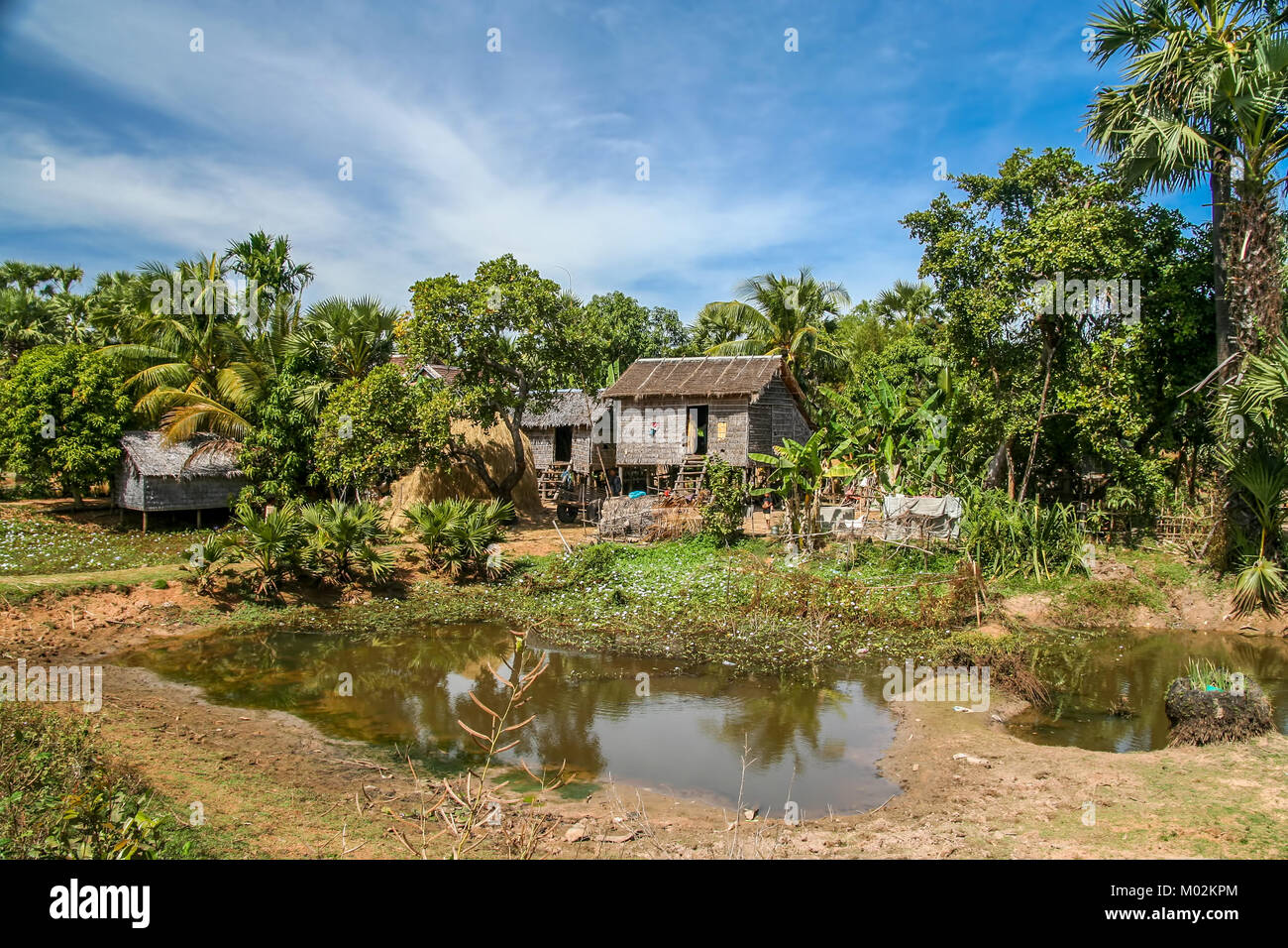 Single primitive wooden house in the tropical rural country in the ...