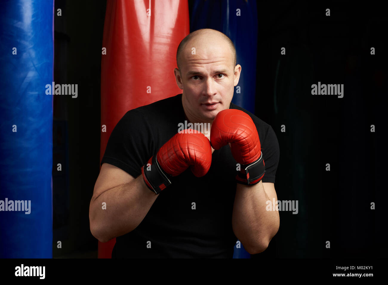 Boxer man sportman theme. Young caucasian man in boxing gloves Stock ...