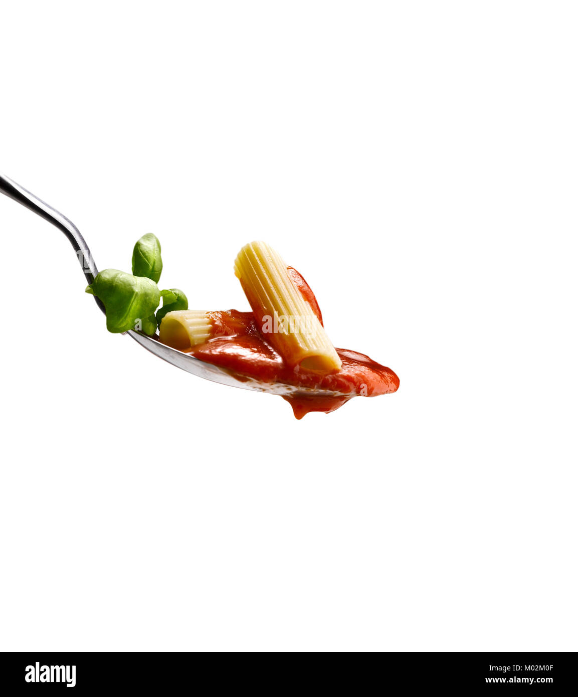 Study in natural forms Cut Out Stock Images & Pictures - Alamy