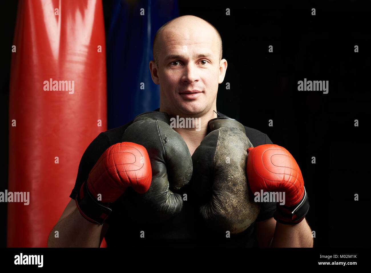 Headshot of young man boxer in red gloves on gym background Stock Photo ...