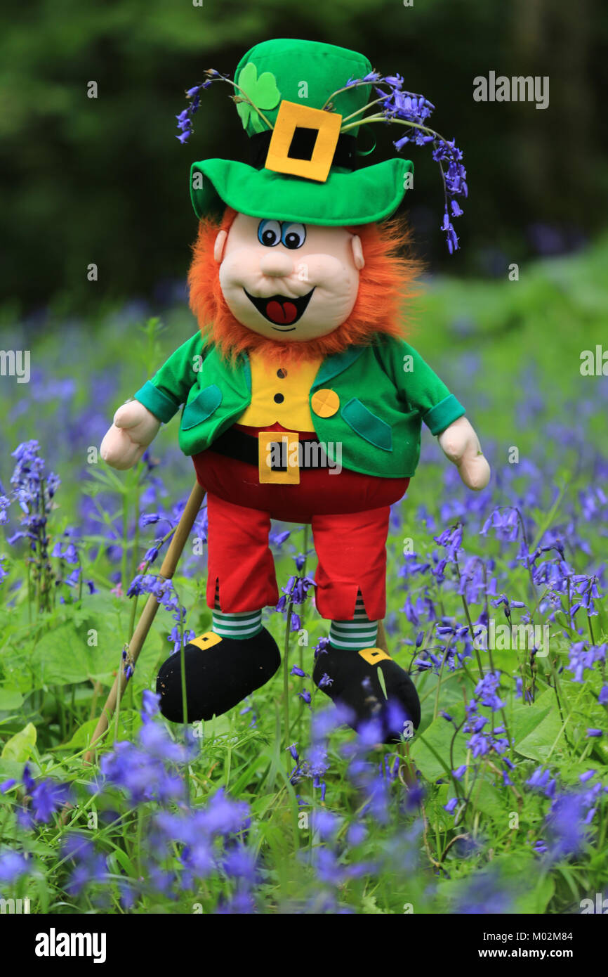 Leprechaun pot of gold hi-res stock photography and images - Alamy