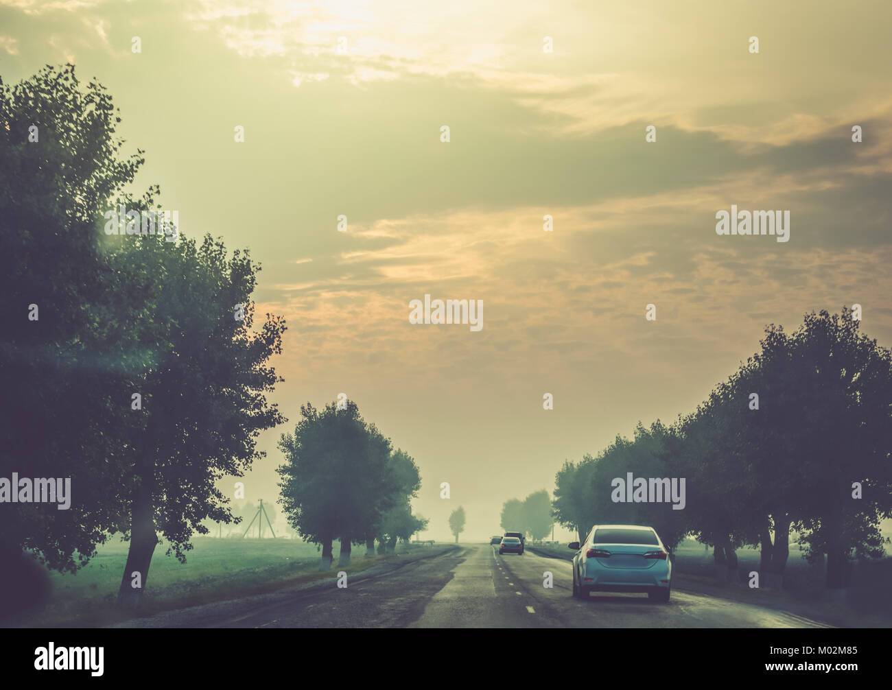 Early in the morning journey by car. Golden hour Stock Photo - Alamy