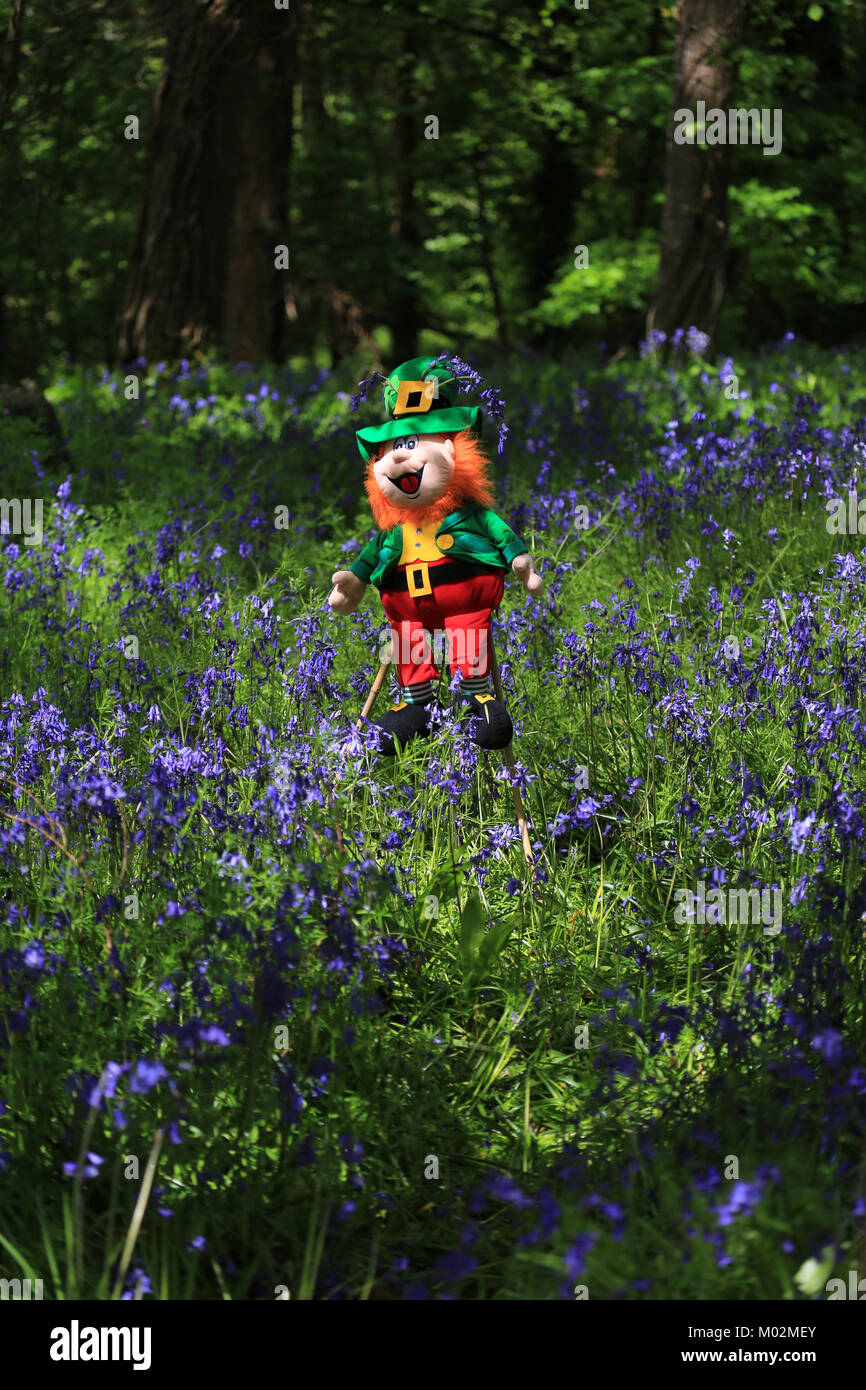 Leprechaun pot of gold hi-res stock photography and images - Alamy