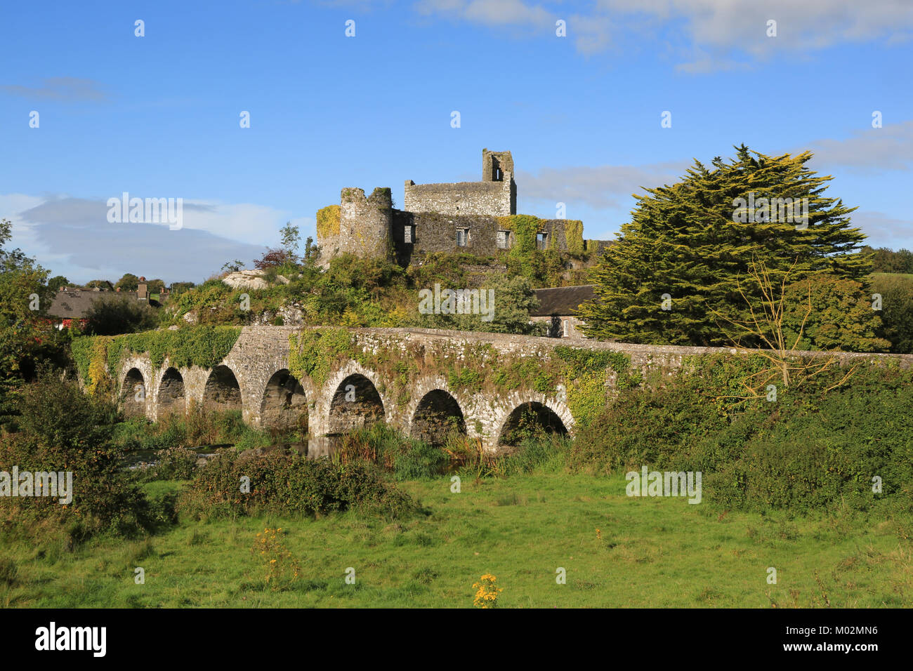 castle and mill by a stream, county cork, ireland Stock Photo - Alamy