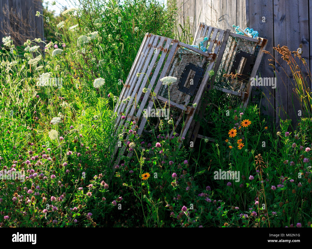 Old lobster pots hi-res stock photography and images - Alamy