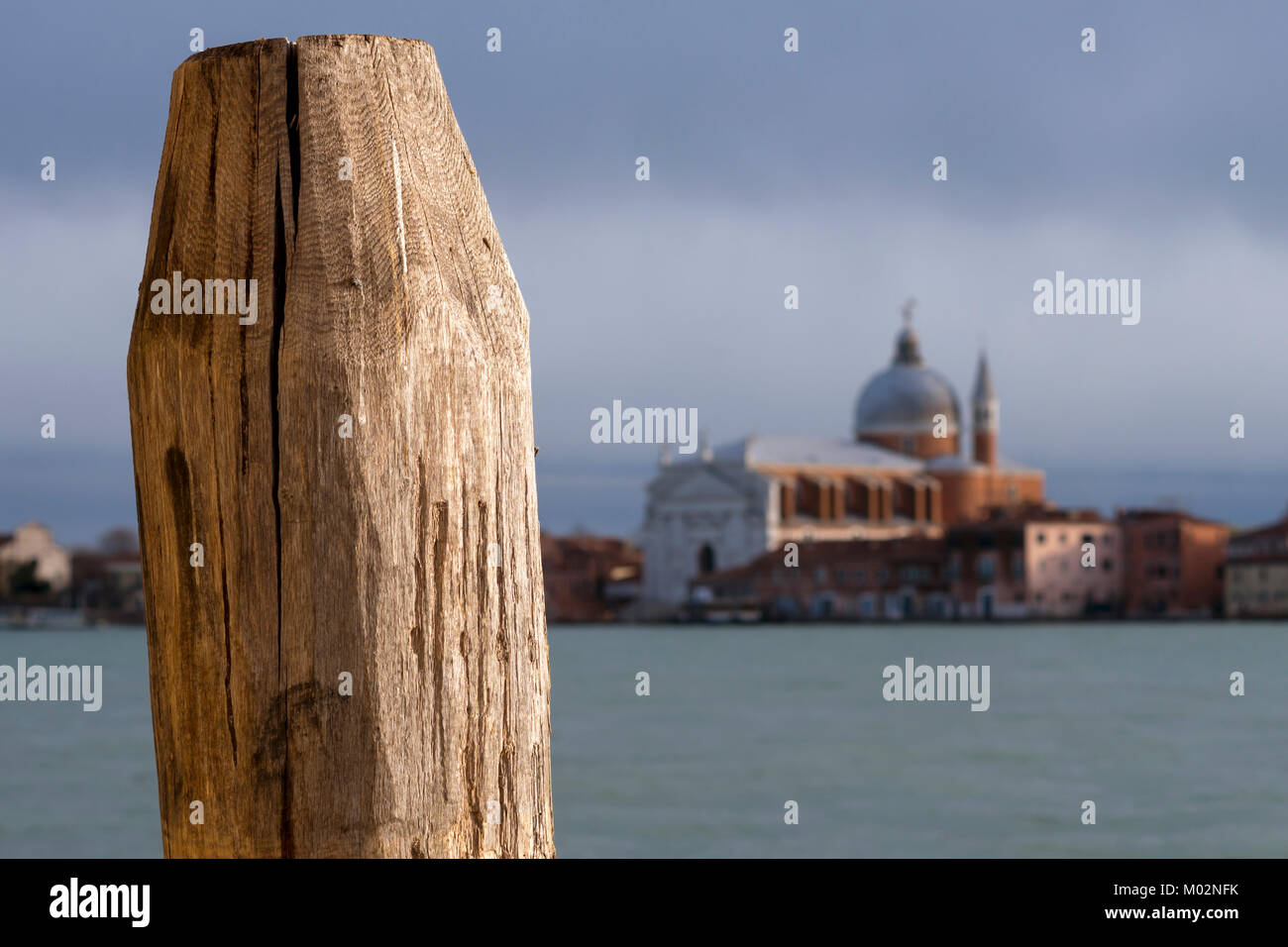 weathered mooring wooden post in Venice with Giudecca district on ...