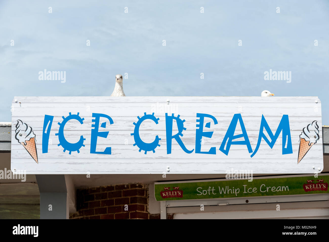 Seagull's looking over the top of a ice cream sign against a blue sky ...
