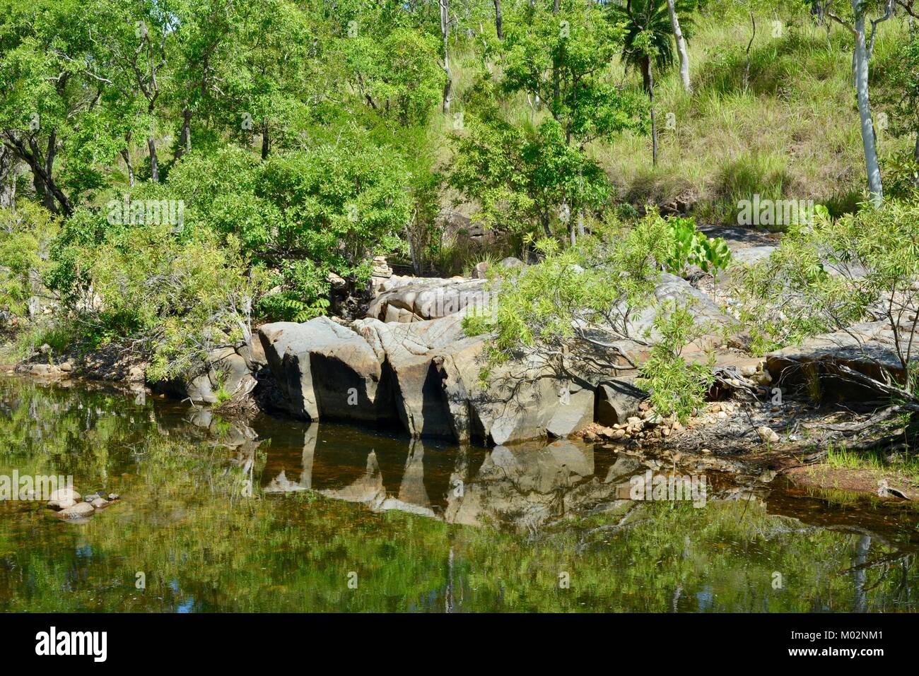 Alligator Creek just down from Cockatoo Creek, Bowling Green Bay ...