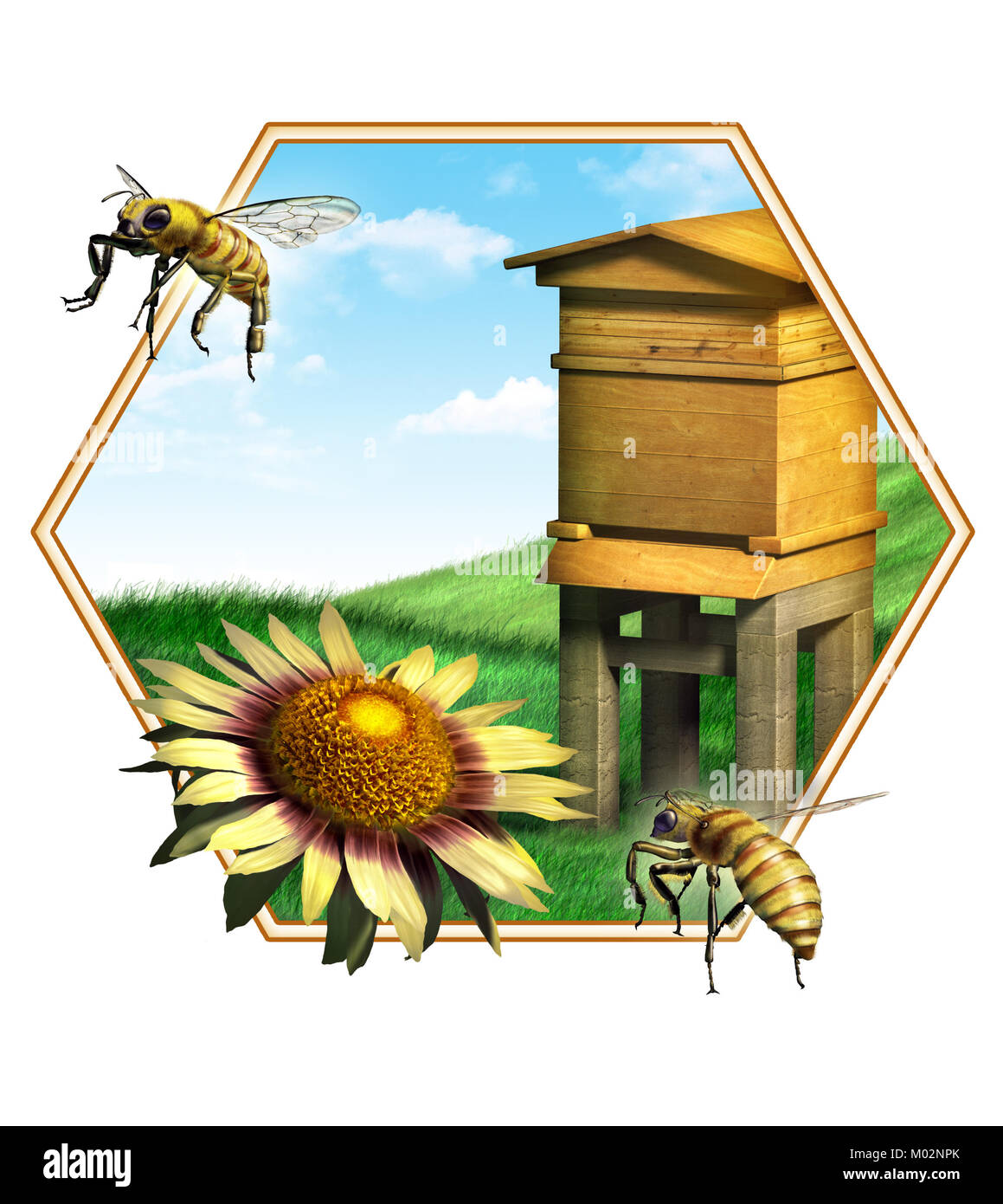 Bee hive illustration hi-res stock photography and images - Alamy