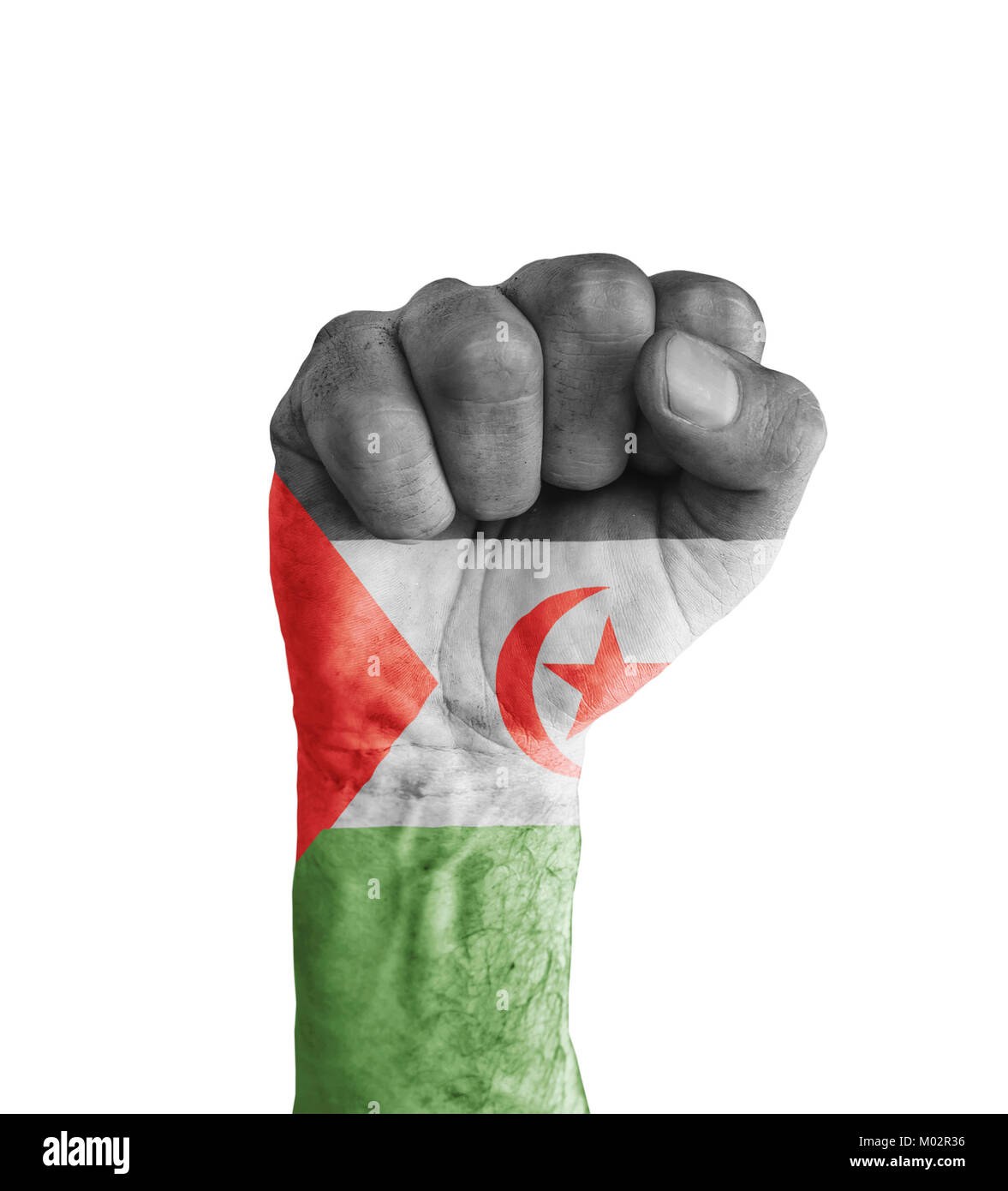 Flag of Sahrawi Arab Democratic Republic painted on human fist like ...