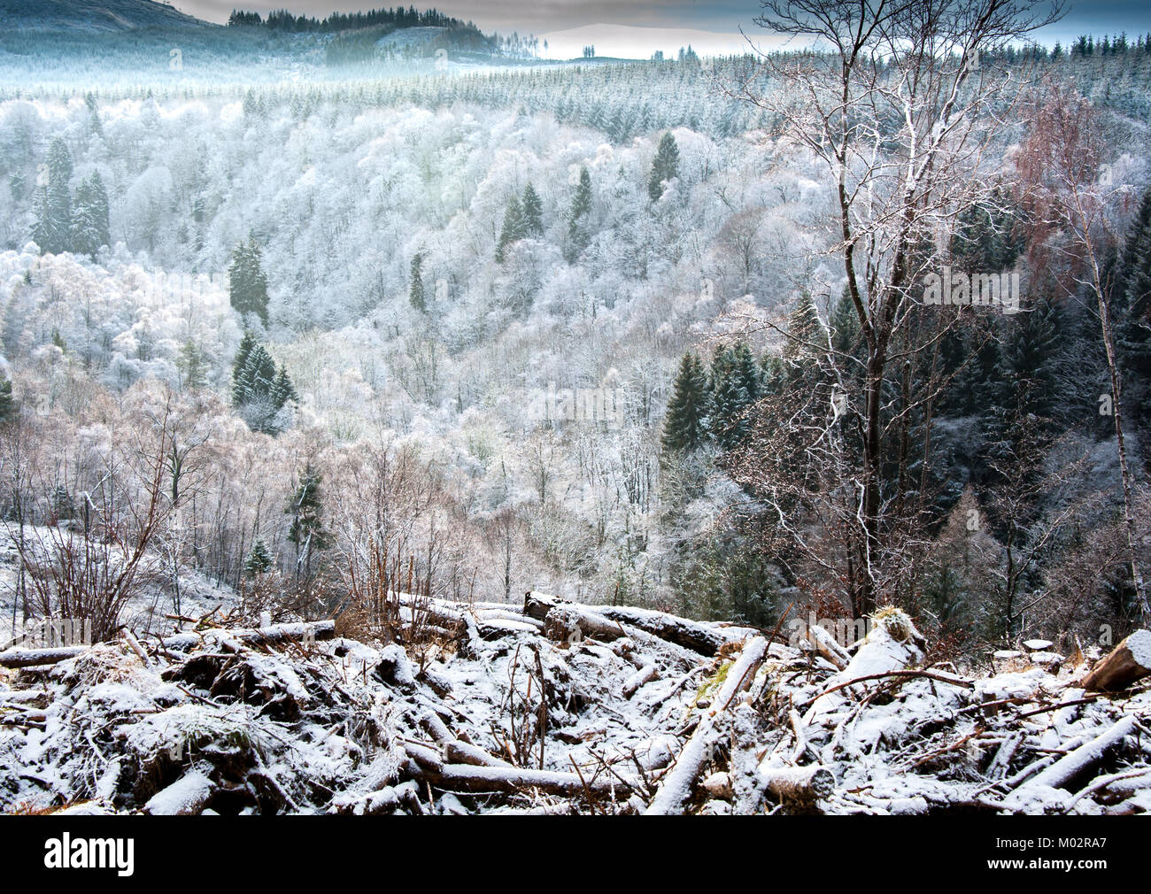 The first light of morning after a very cold night revealed a hard ...