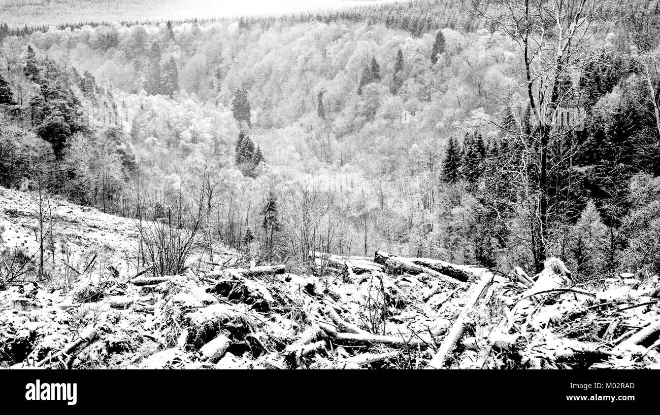 The first light of morning after a very cold night revealed a hard ...