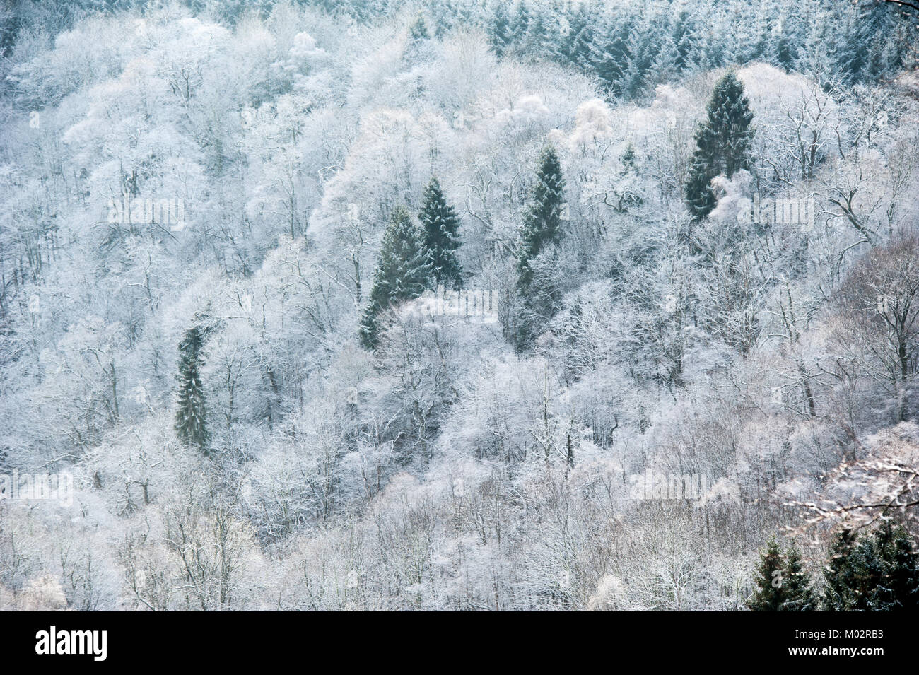 The first light of morning after a very cold night revealed a hard ...