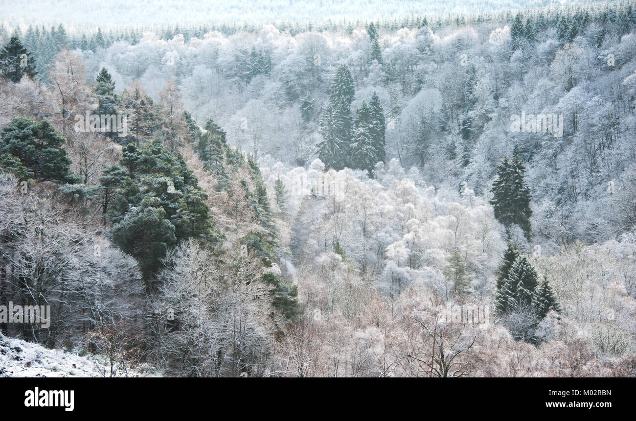 The first light of morning after a very cold night revealed a hard ...