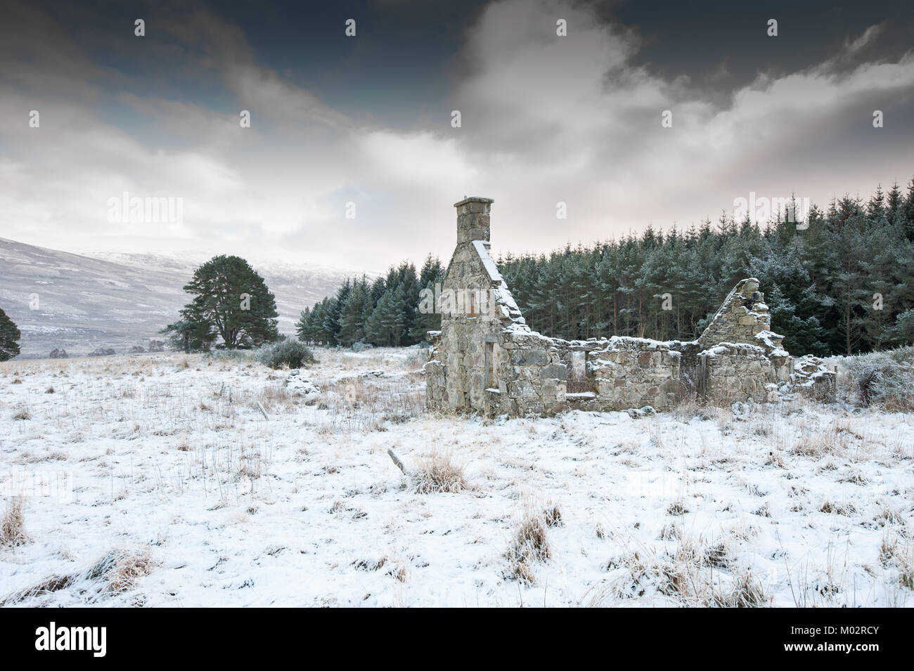 The first light of morning after a very cold night revealed a hard ...