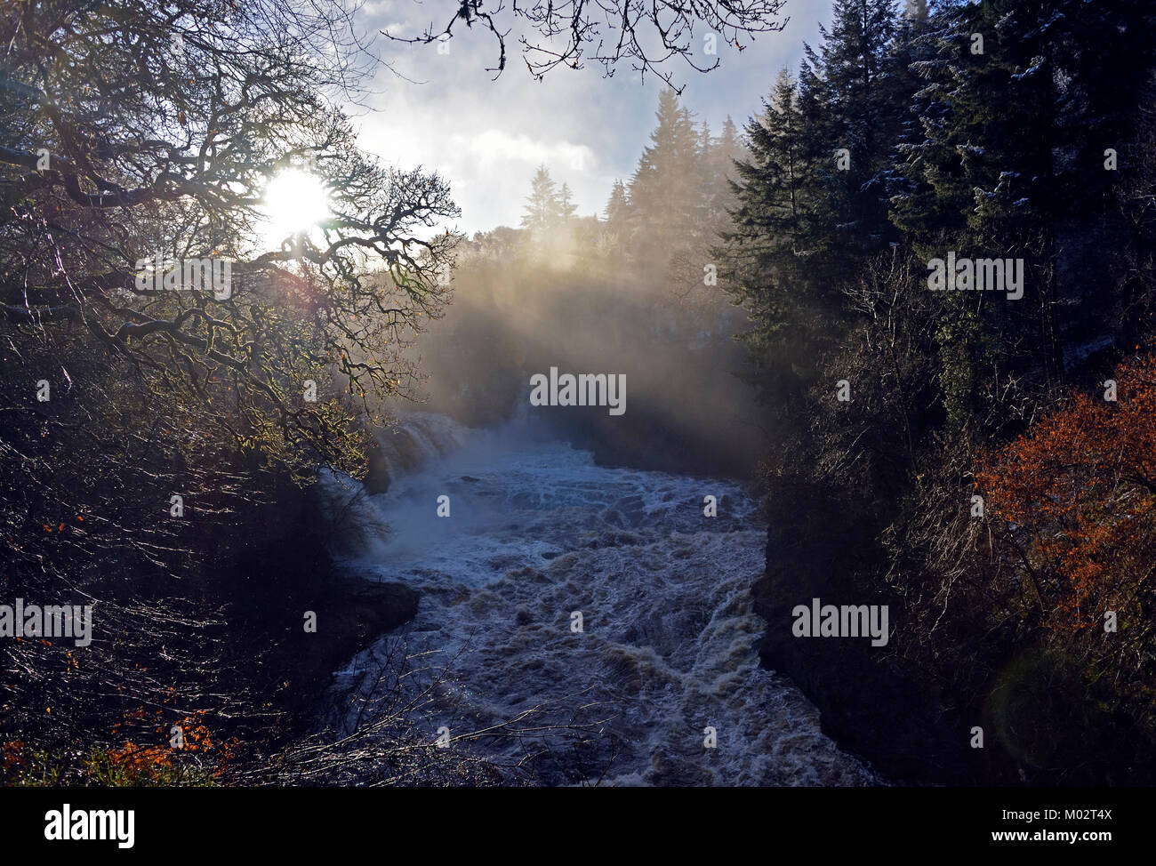 Bonnington Linn in Winter sunshine. The Falls of Clyde, Bonnington ...