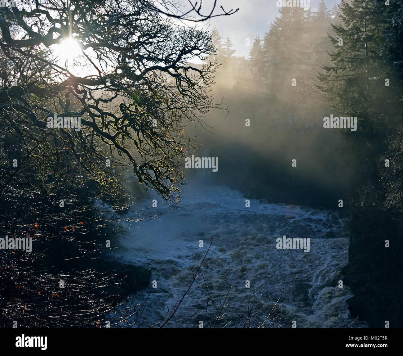 Bonnington Linn in Winter sunshine. The Falls of Clyde, Bonnington ...