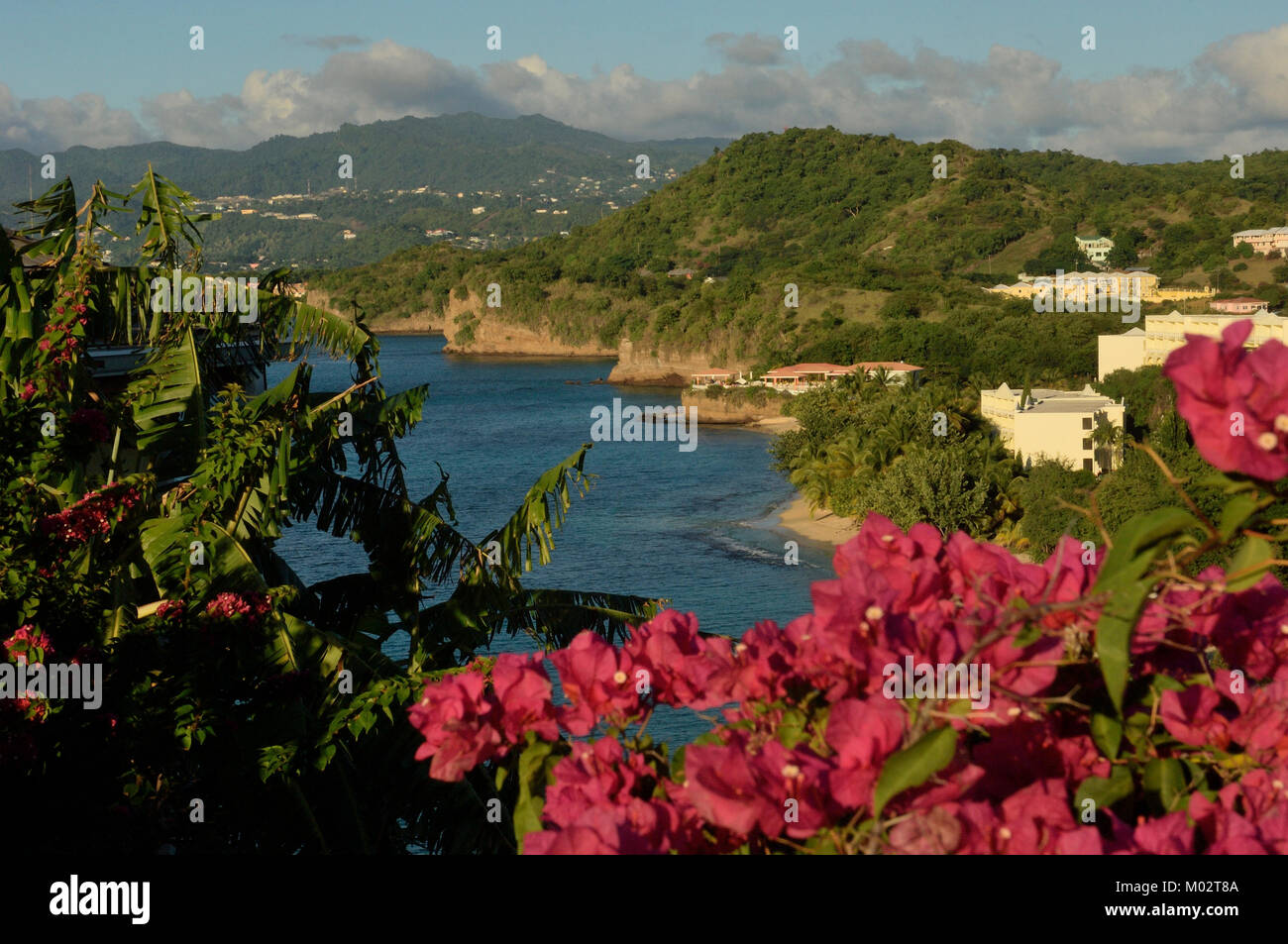 Grenada, Grenadines, Caribbean Stock Photo - Alamy