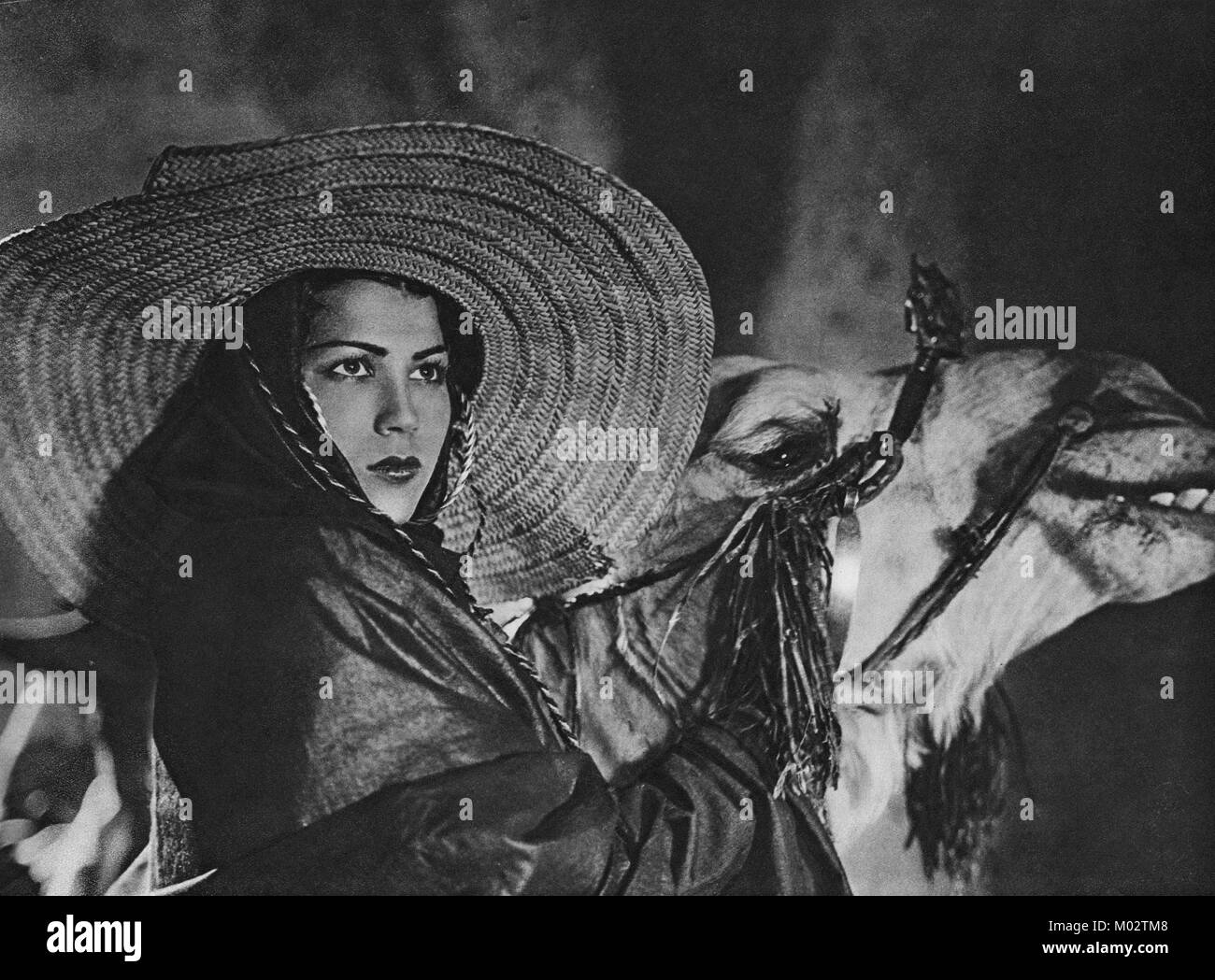 Lost atlantis Black and White Stock Photos & Images - Alamy