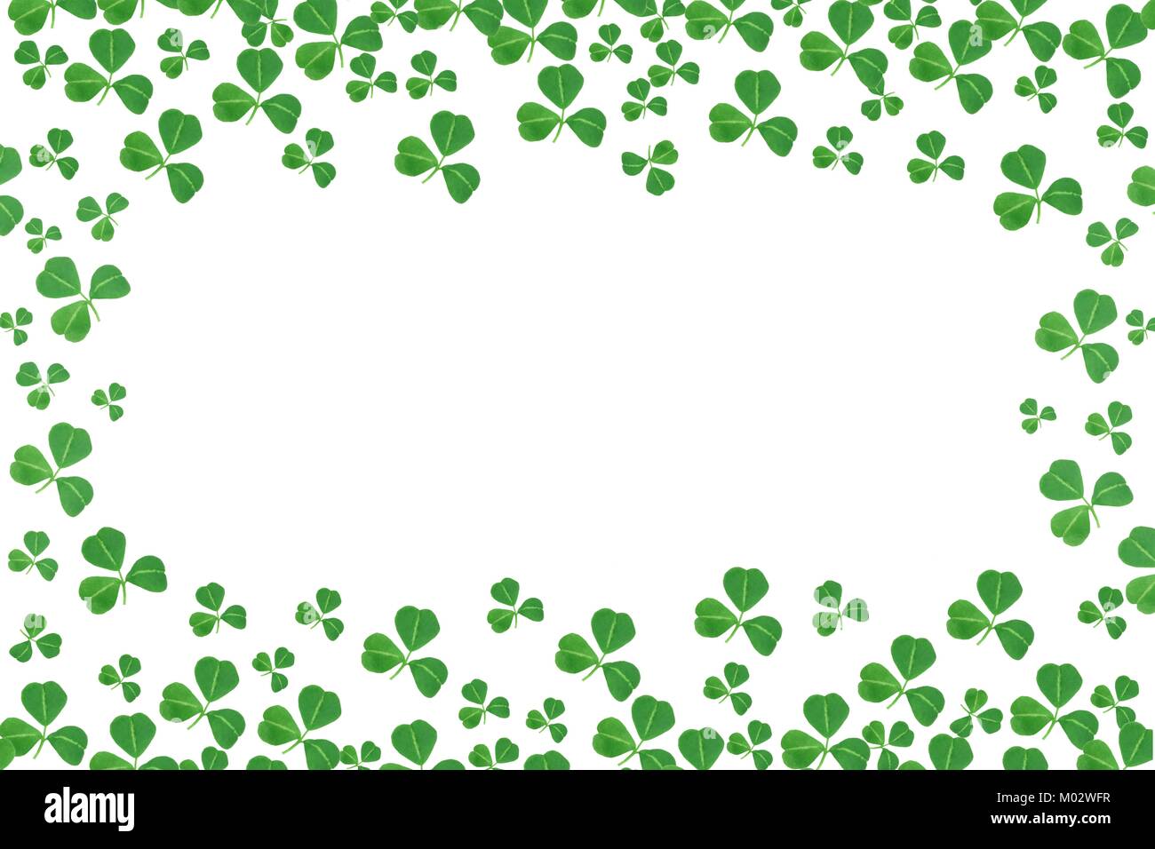 St Patricks Day frame of shamrocks over a white background Stock Photo ...