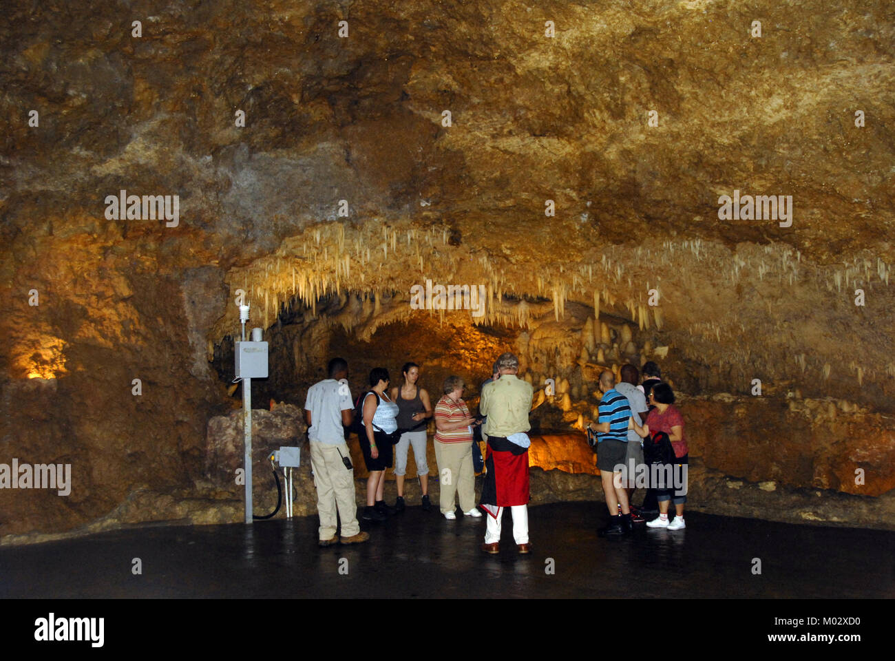 Harrisons Cave Barbados High Resolution Stock Photography and Images ...