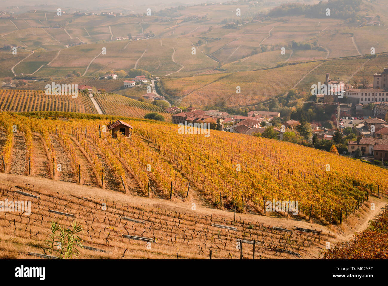 Barolo, Piedmont, Italy: vineyards and landscapes around Barolo and La ...