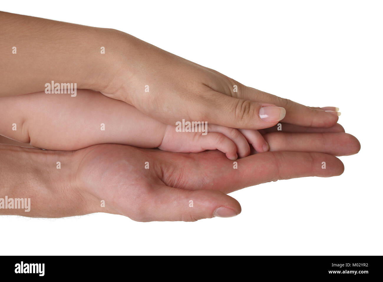 Child and parent holding hands on white background Stock Photo - Alamy