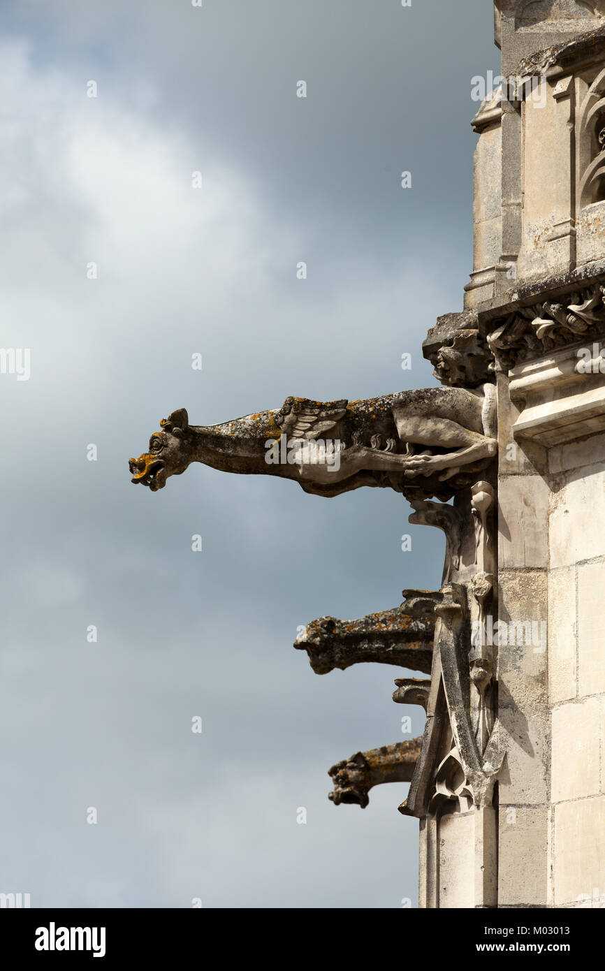 old gargoyles on the wall of the castle in Amboise Stock Photo - Alamy