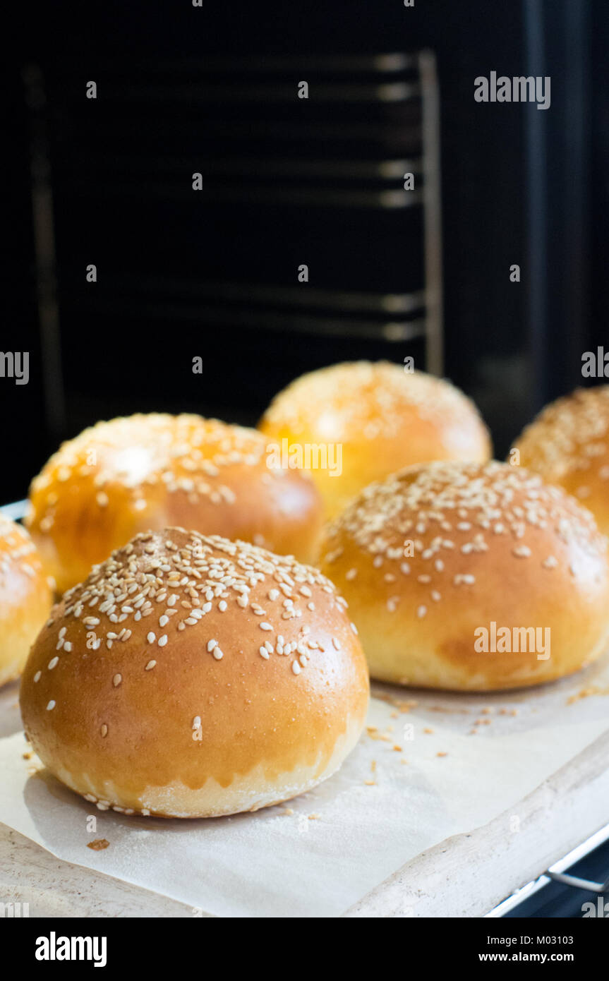 Brioche hamburger buns hi-res stock photography and images - Alamy