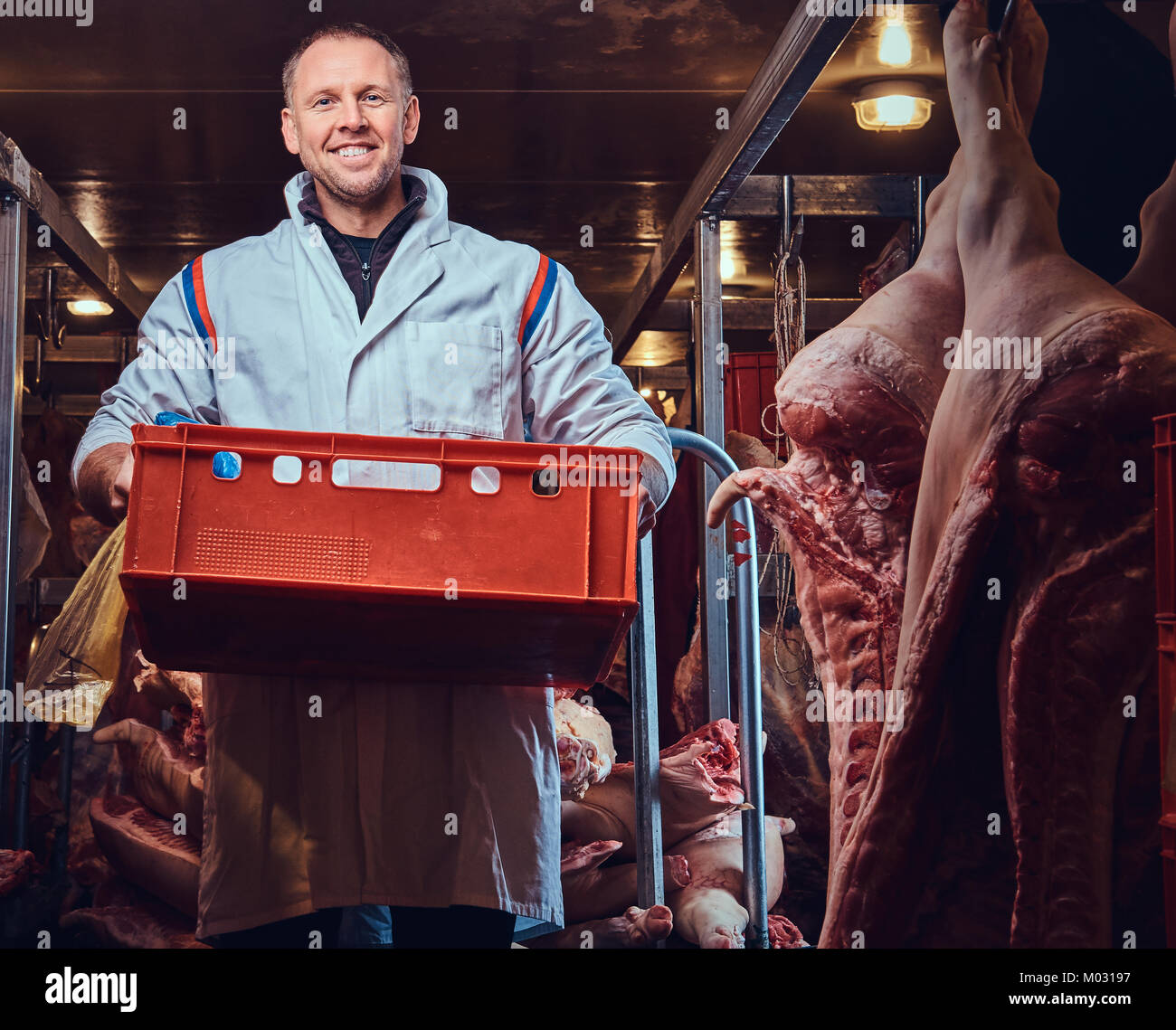 The butcher in a meat freezer Stock Photo - Alamy